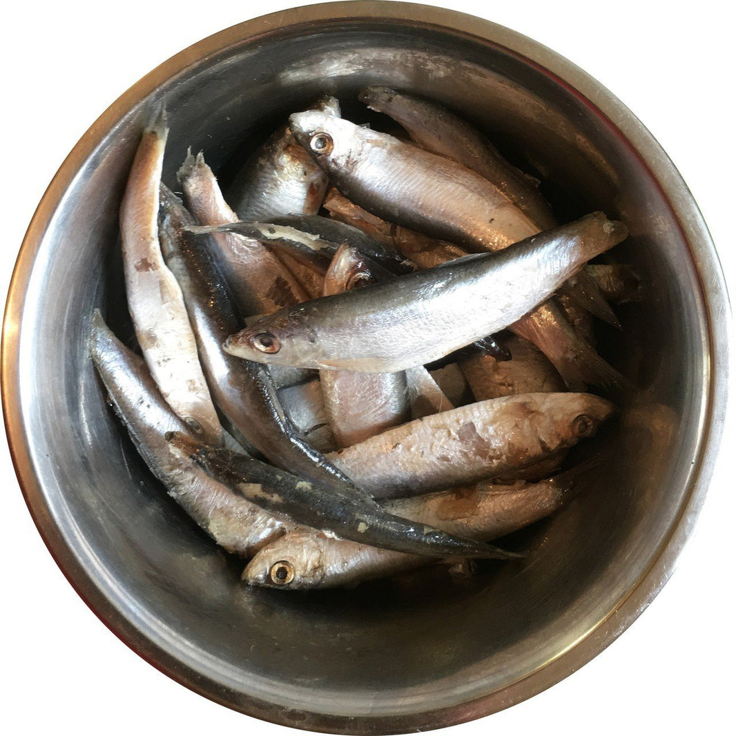 All Raw Frozen bones, offal and fish and more. – Natural Treats Bristol